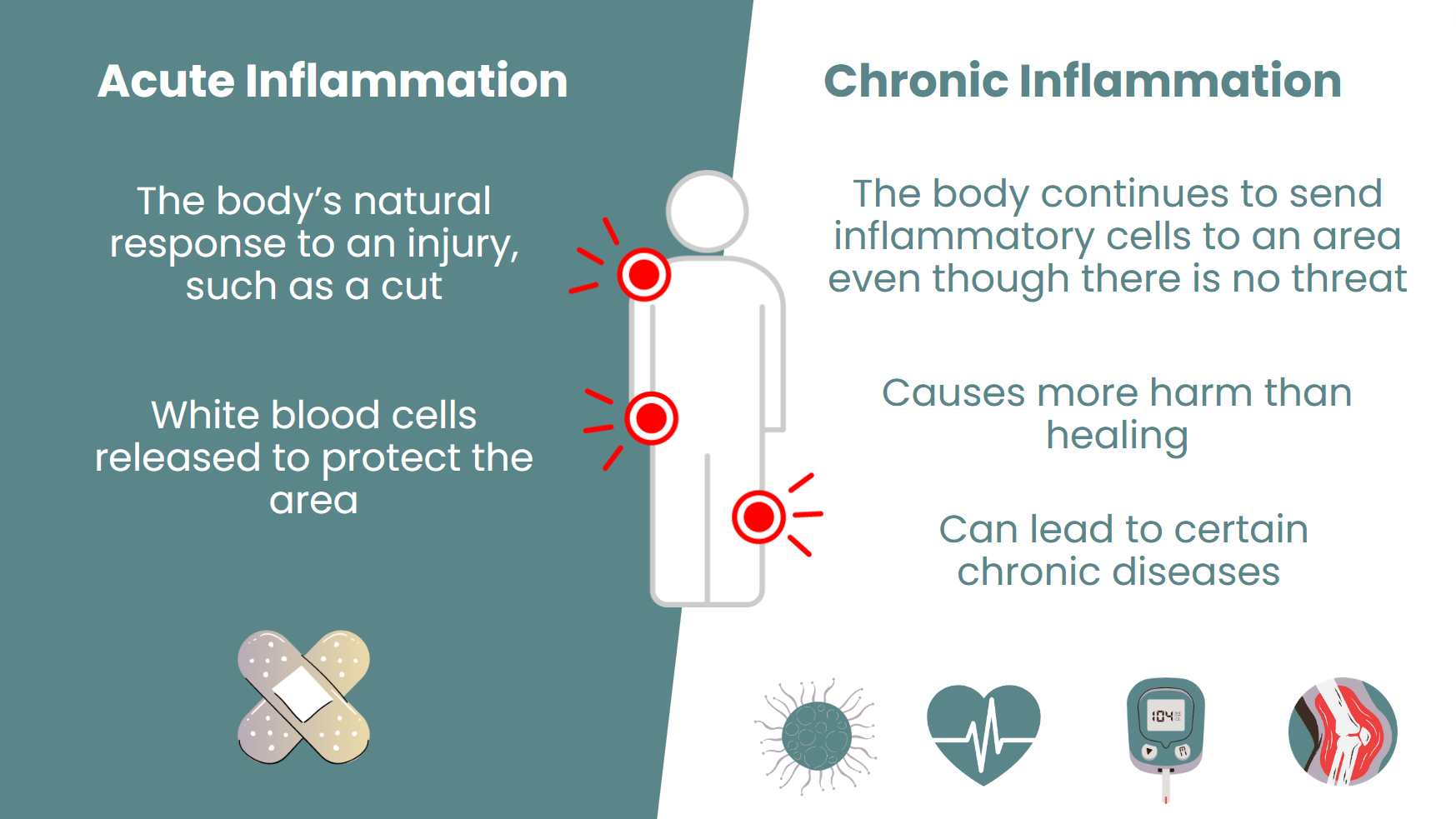 8 Powerful Foods to Fight Inflammation: A Guide to Eating for Better ...